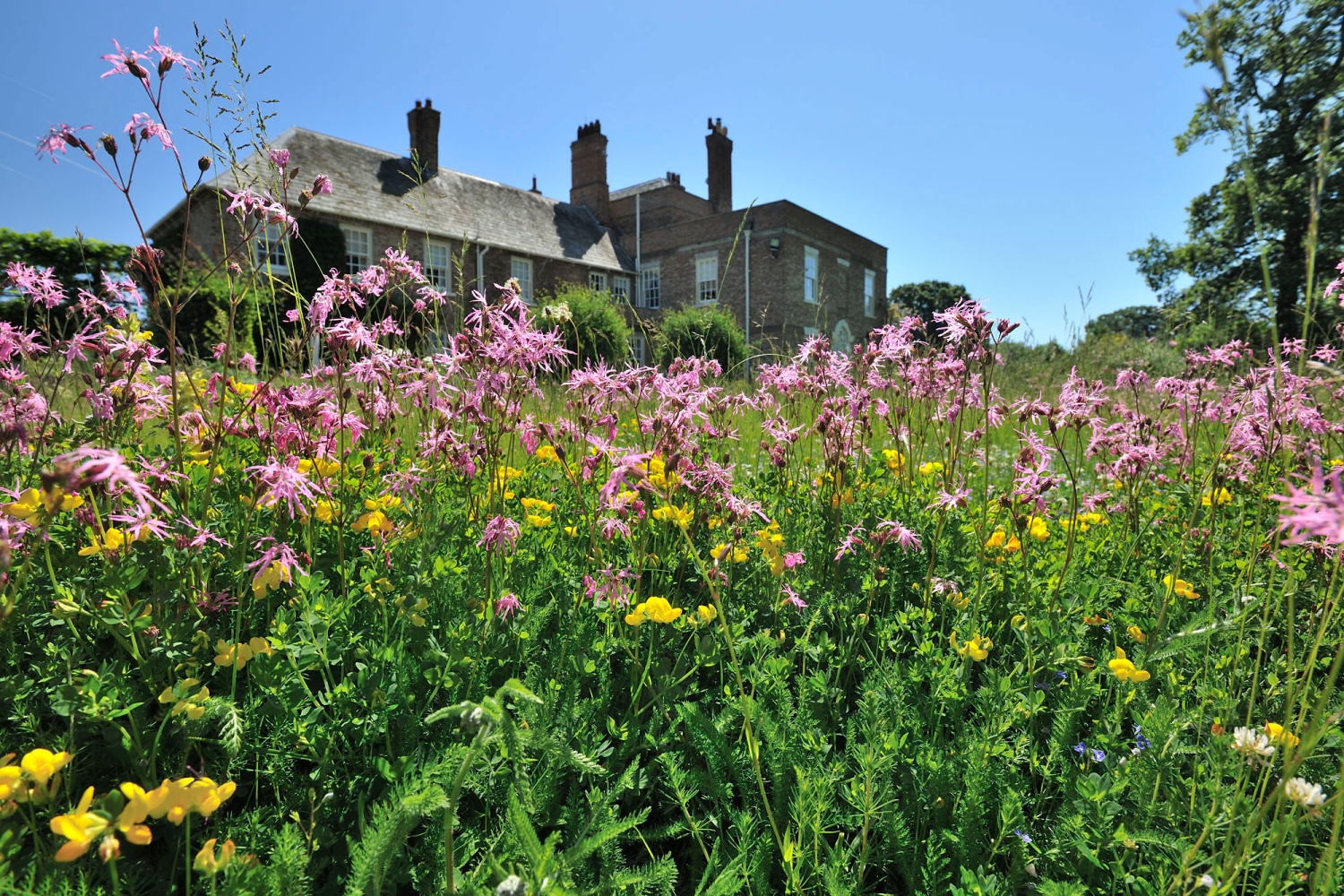 Skipwith Hall, Selby, Yorkshire, YO8 5SQ - National Garden Scheme
