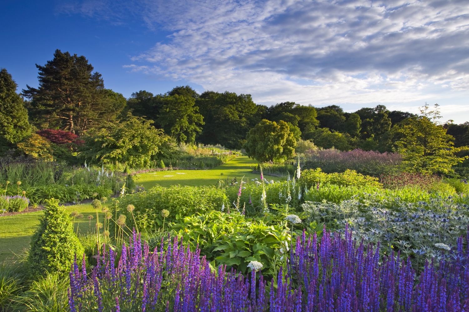 RHS Garden Harlow Carr, Harrogate, Yorkshire, HG3 1QB - National Garden ...