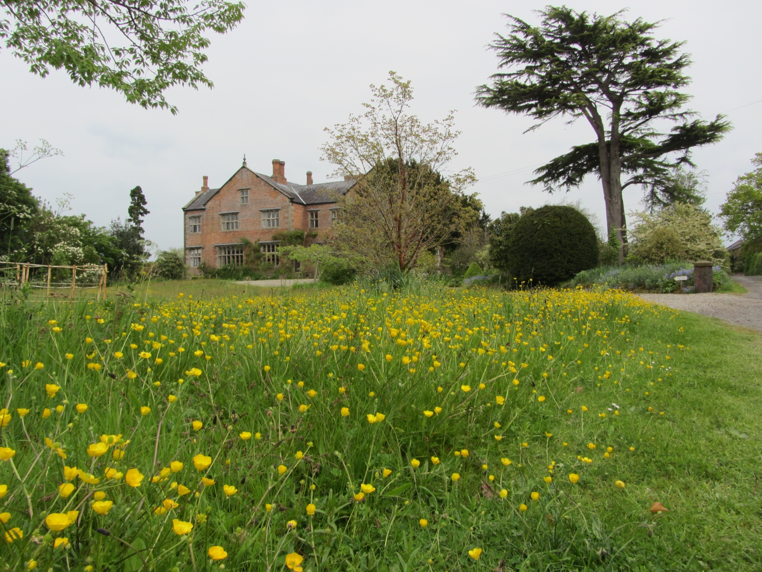 Tattenhall Hall, Tattenhall, Cheshire, CH3 9PX - National Garden Scheme