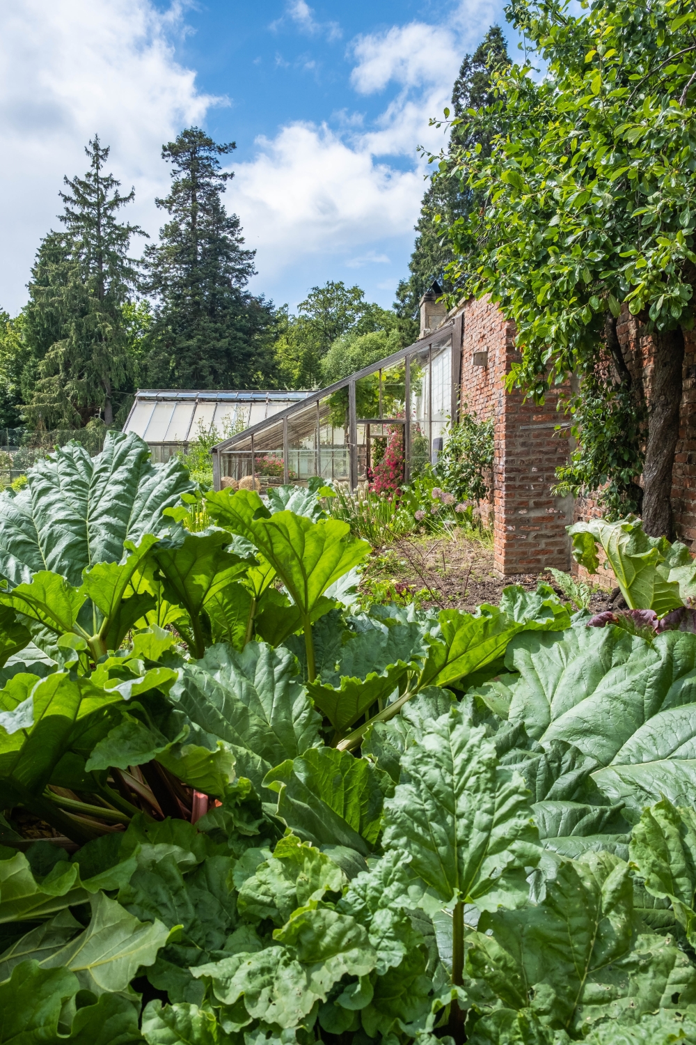 Clifton Castle, Ripon, North Yorkshire, HG4 4AB - National Garden Scheme