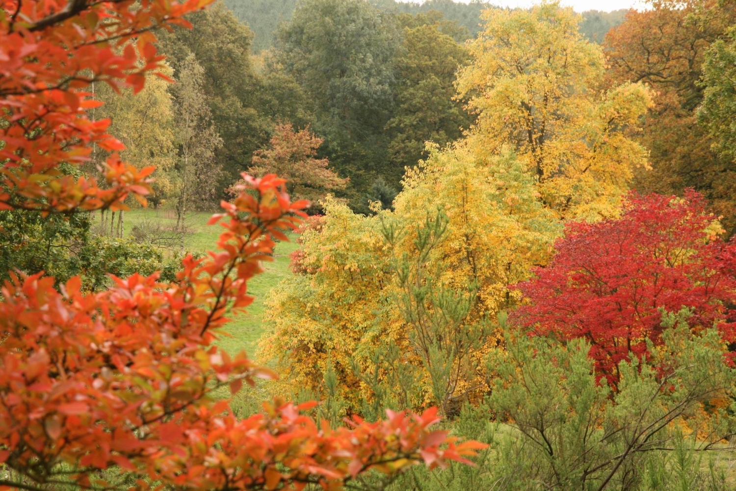 High Beeches Woodland and Water Garden, Haywards Heath, Sussex, RH17 ...