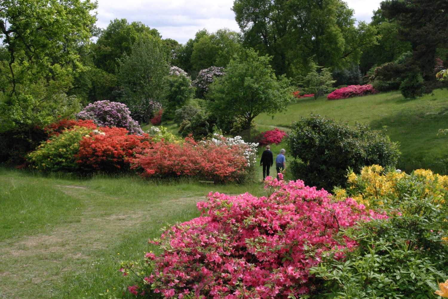 High Beeches Woodland and Water Garden, Haywards Heath, Sussex, RH17 ...
